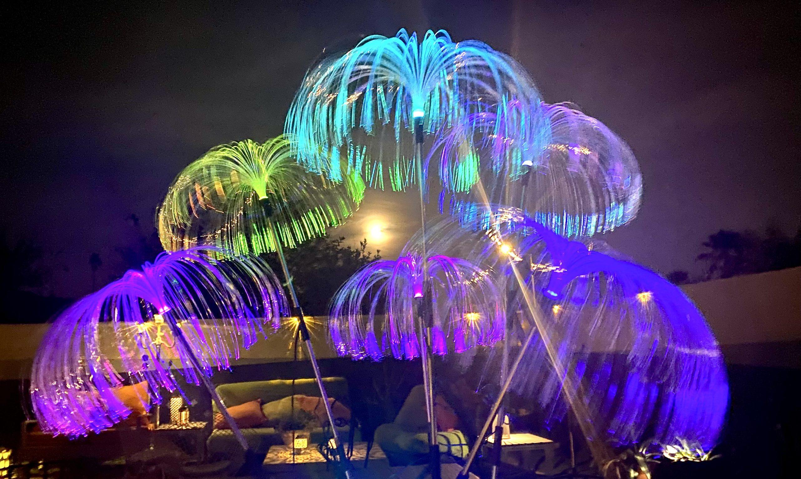 So Long, Gail Christian; Let's Do Art in the Park in the Dark-Coachella ...
