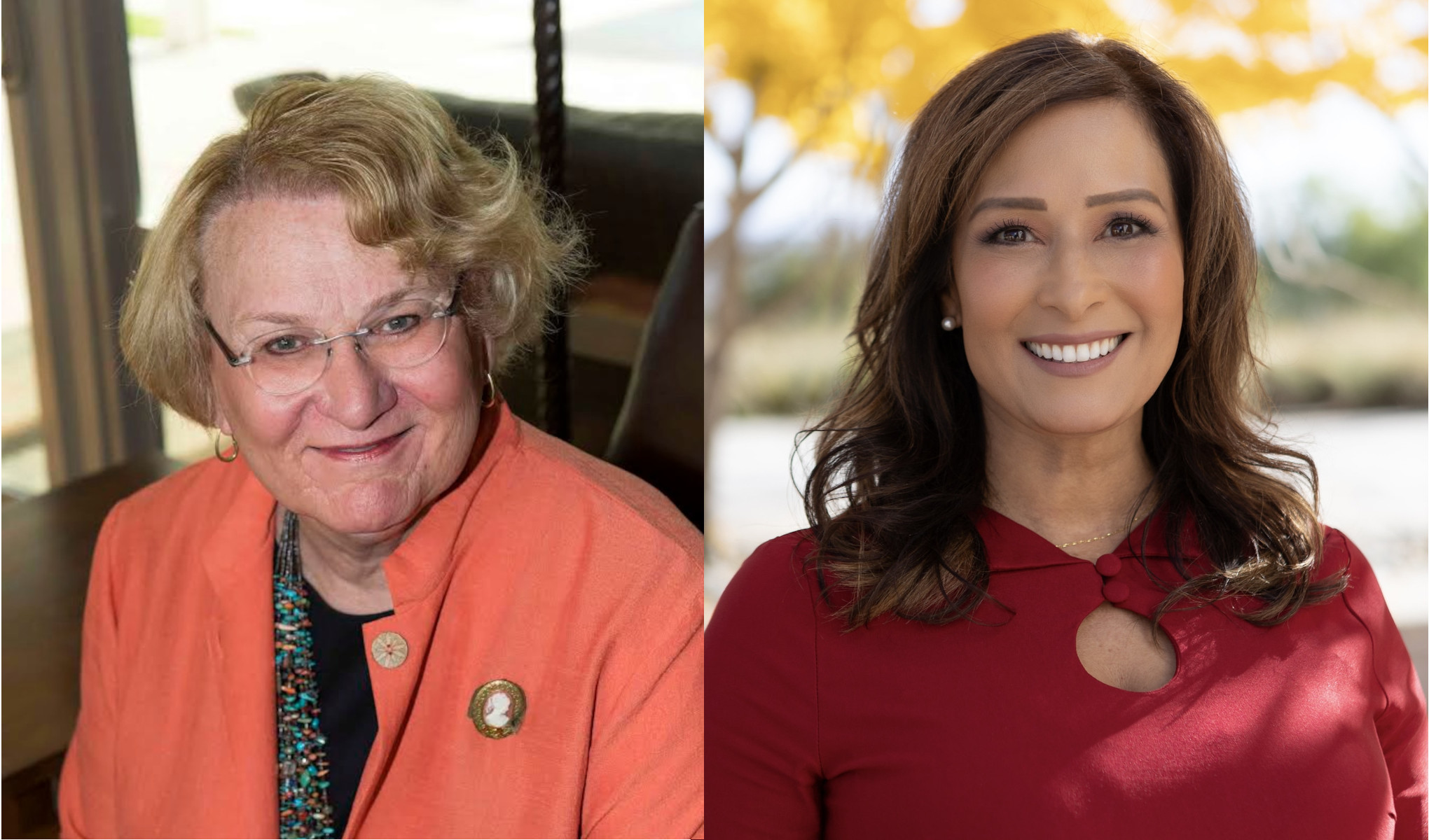 Candidate Q&A: State Sen. Rosilicie Ochoa Bogh and Palm Springs City ...