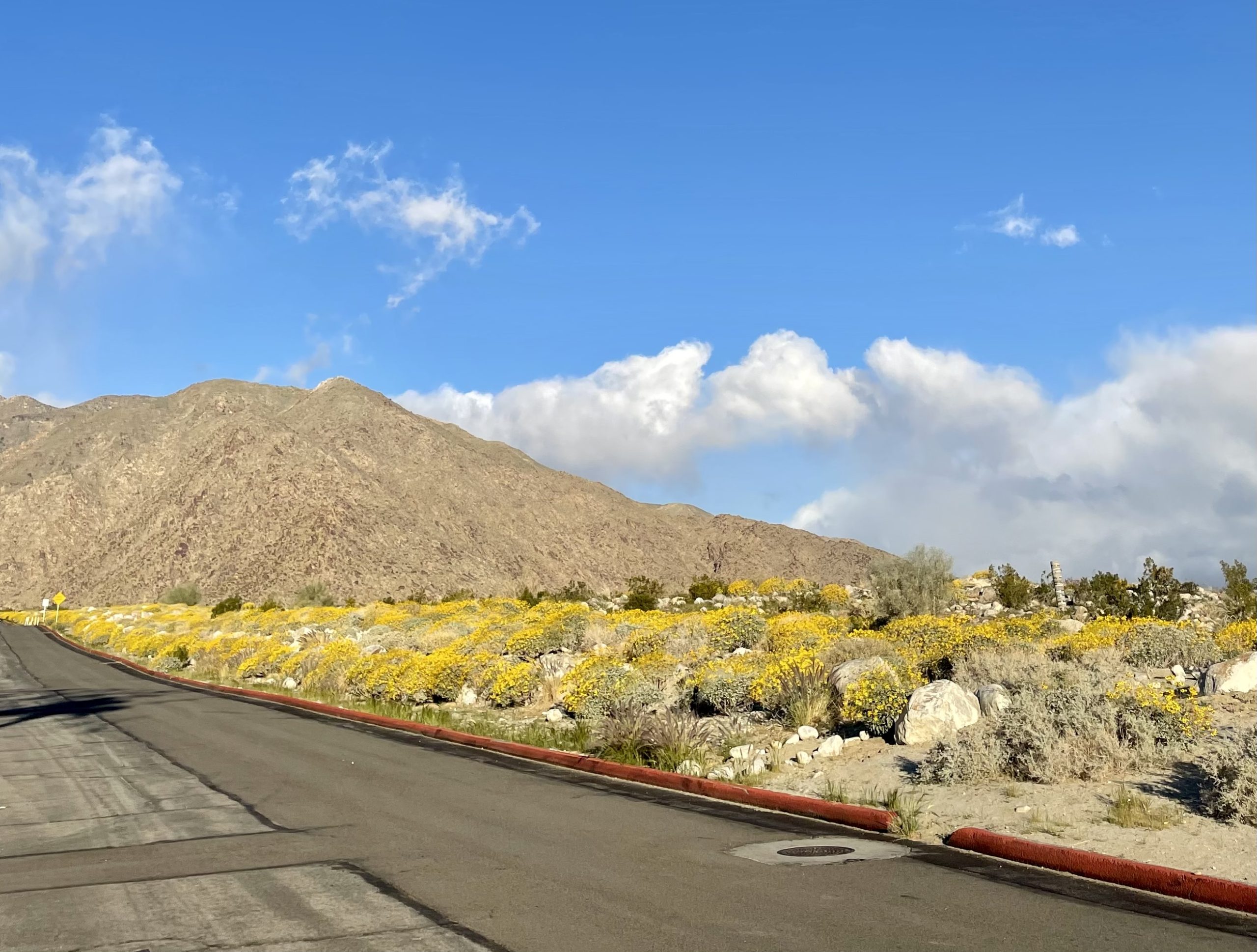 Community Voices: Thanks to Palm Springs for Protecting Two Key Parcels ...