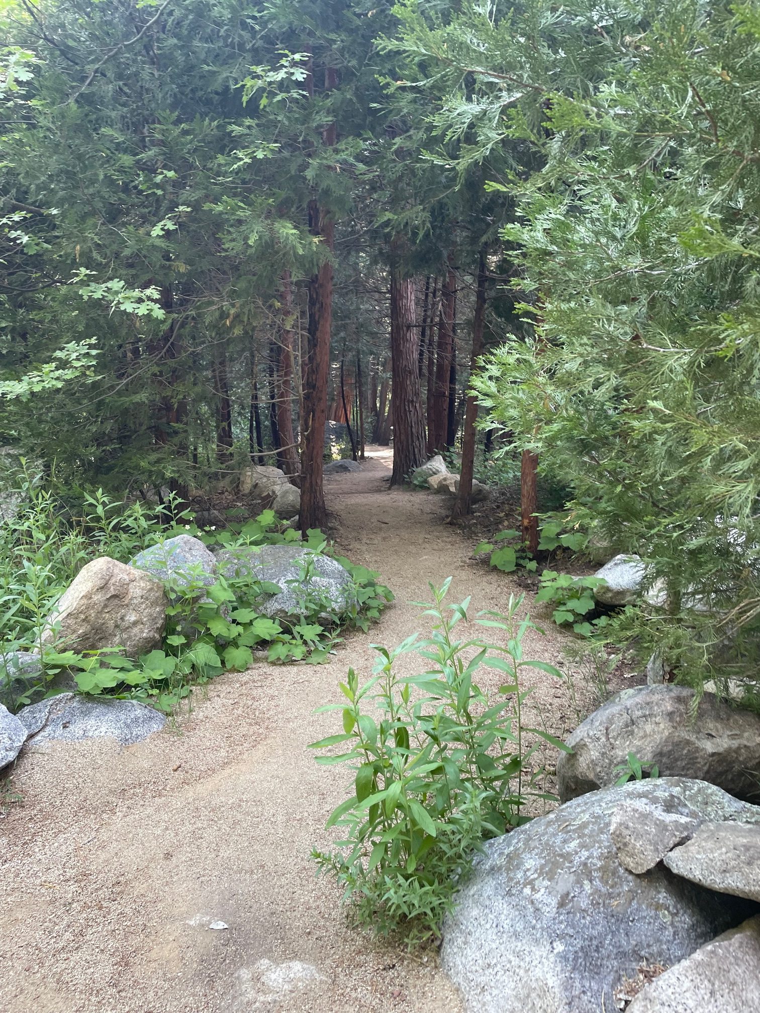 Hiking With T: Beautiful Cooler-Weather Hikes Are Just Steps Away From ...