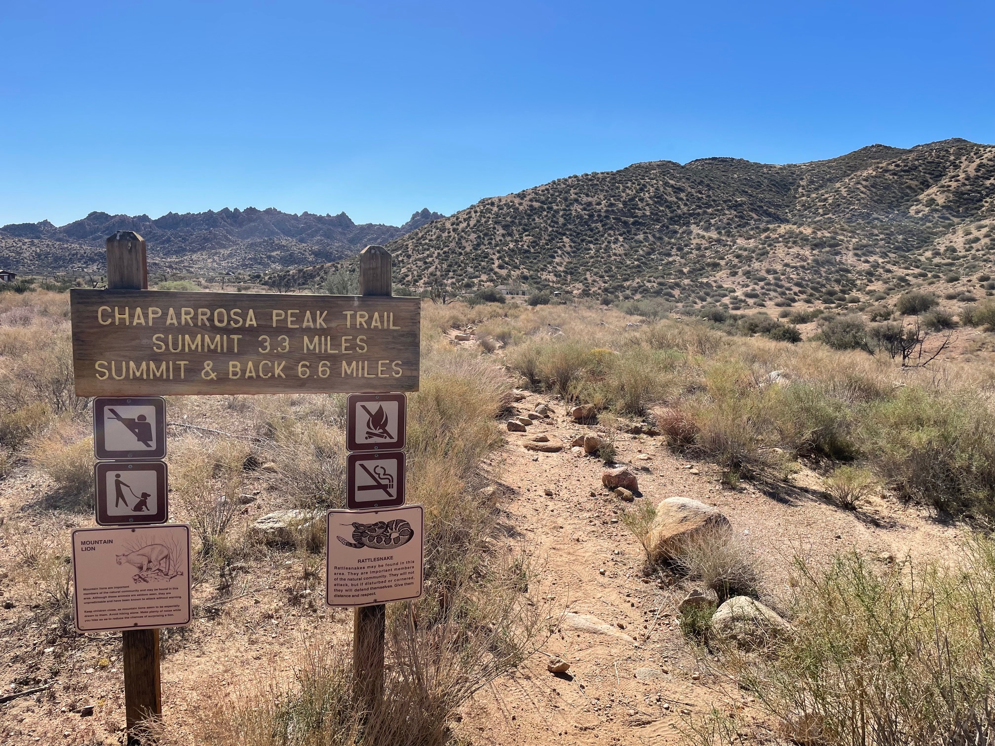 Hiking With T: Discovering the Pioneertown Mountains Preserve Is Like ...