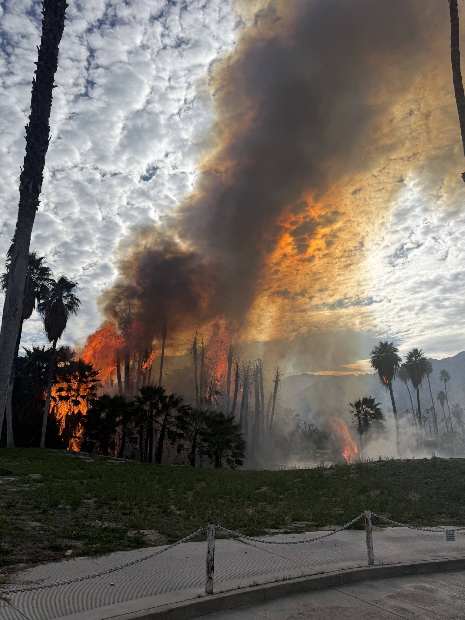 Fire at the Oasis: The Blaze at the Prescott Preserve Could Have Been ...