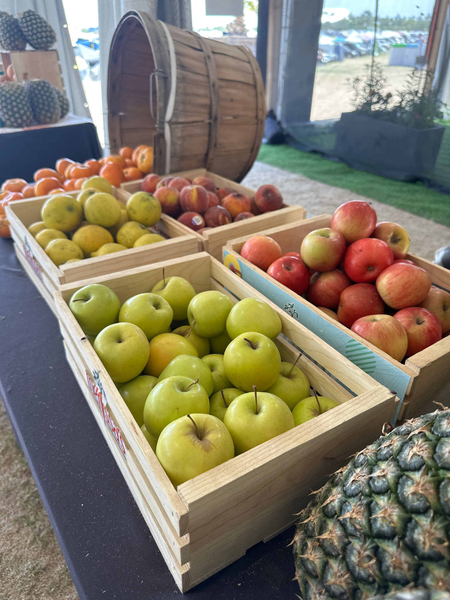 Coachella Veg: Thermal’s Aziz Farms Offers Festival-Goers Chances to ...